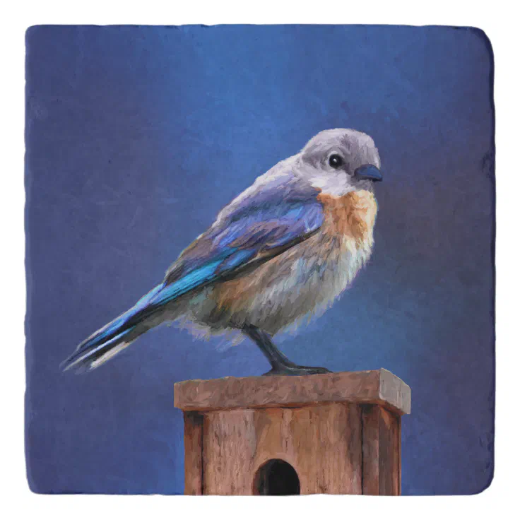 Bluebird (Female) Painting - Original Bird Art Trivet | Zazzle