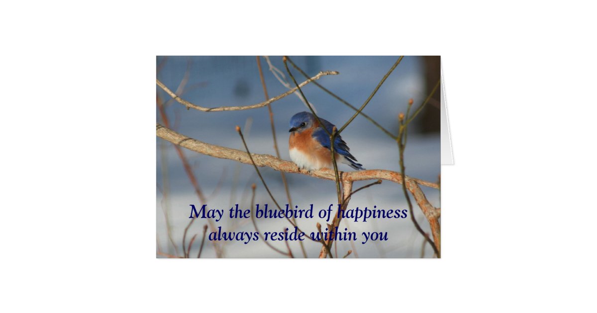 Bluebird Of Happiness Inspirational Card | Zazzle