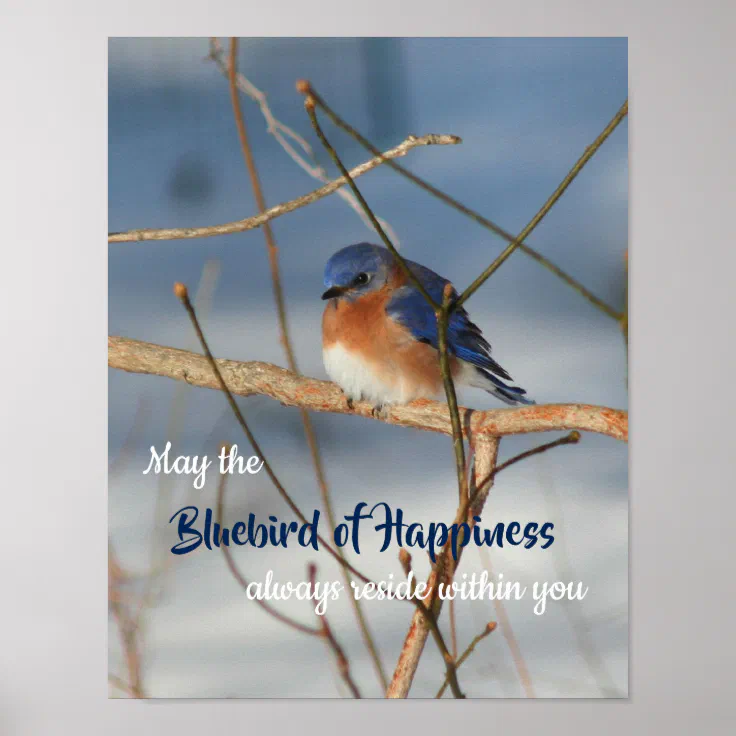 Bluebird Of Happiness Inspirational Poster | Zazzle