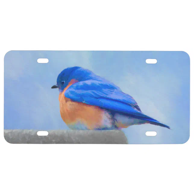 Bluebird Painting - Original Bird Art License Plate | Zazzle