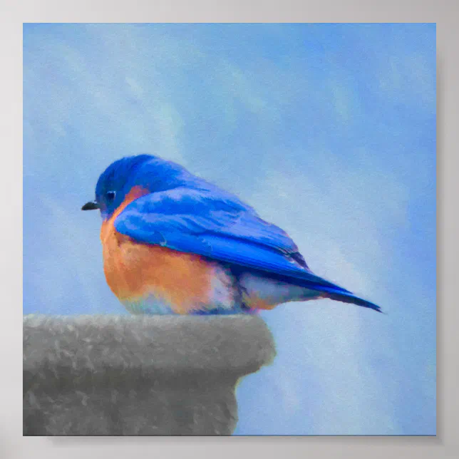 Bluebird Painting - Original Bird Art Poster | Zazzle