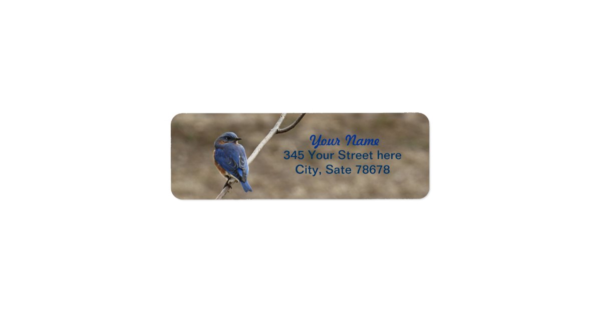 Bluebird Photo Return Address labels | Zazzle