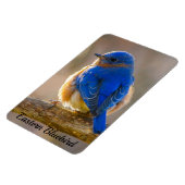 Bluebird Refrigerator Magnet Photo Template | Zazzle