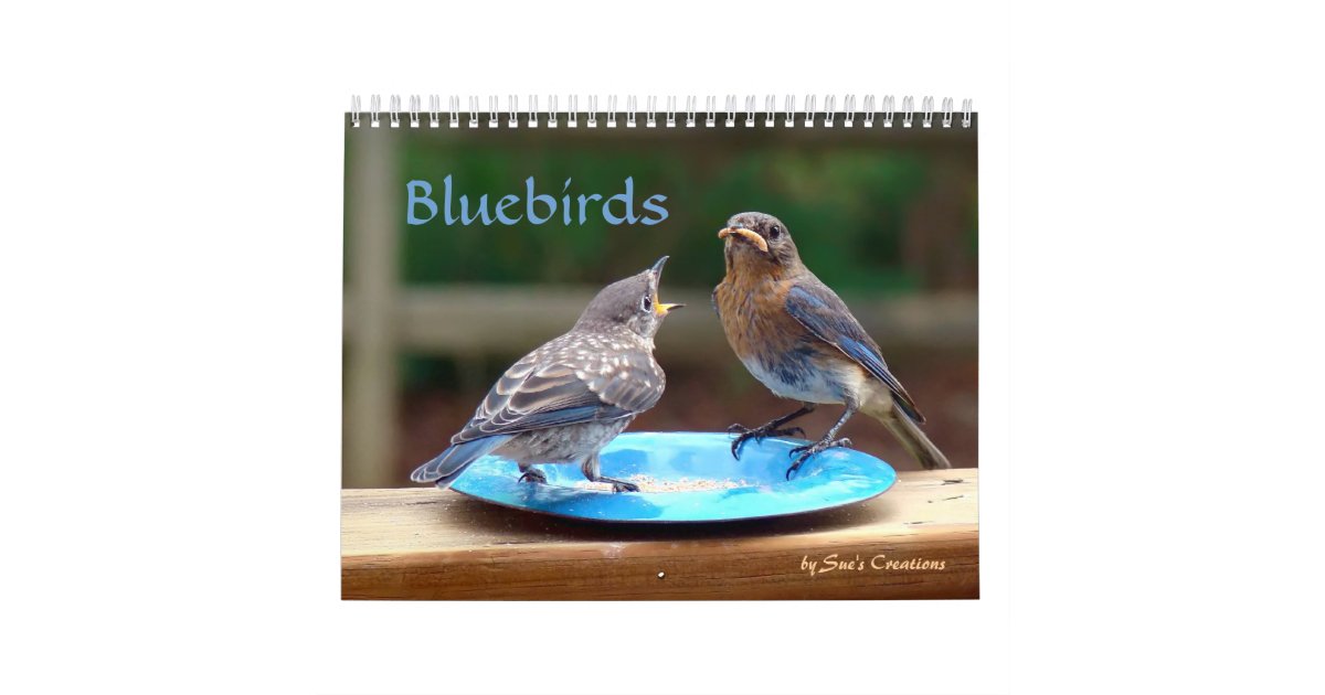 Bluebirds Calendar | Zazzle