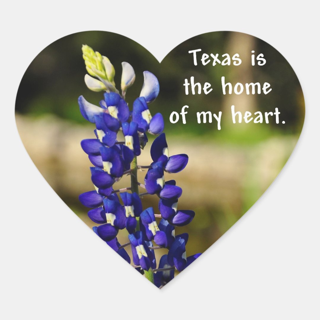 Bluebonnet "Texas is the Home of My Heart" Sticker | Zazzle