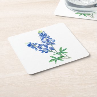 Bluebonnets 3 square paper coaster | Zazzle