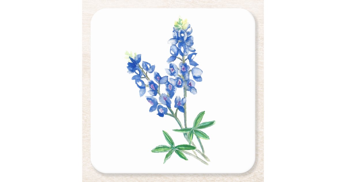 Bluebonnets 3 square paper coaster | Zazzle