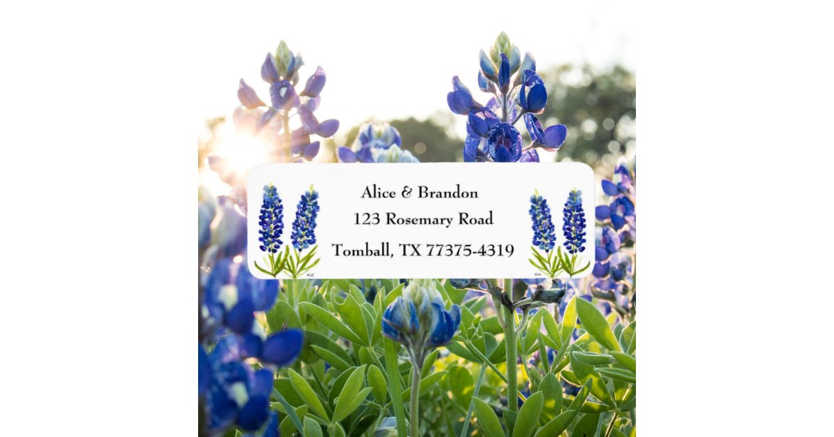 Bluebonnets Texas State Flowers Lupine Watercolor Label | Zazzle