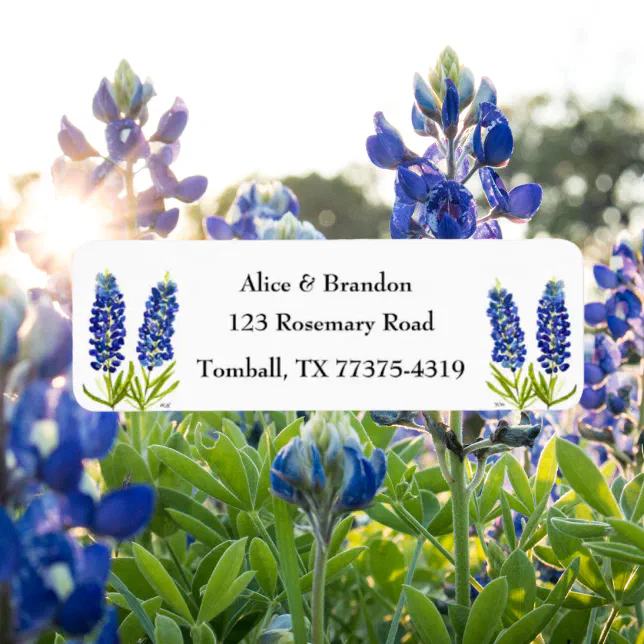 Bluebonnets Texas State Flowers Lupine Watercolor Label | Zazzle