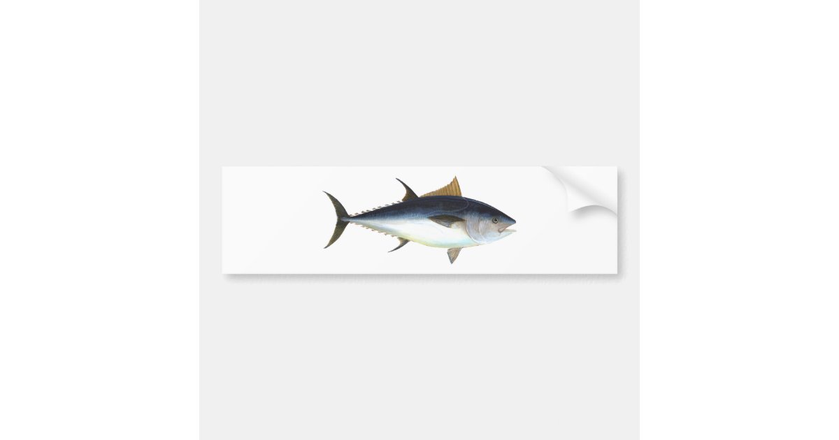 Bluefin Tuna Bumper Sticker | Zazzle