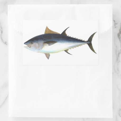 Bluefin Tuna illustration Rectangular Sticker | Zazzle