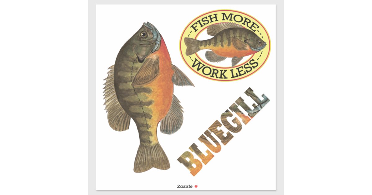 Bluegill Bream Fishing Angler's Sticker | Zazzle