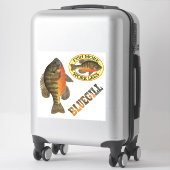 Bluegill Bream Fishing Angler's Sticker | Zazzle