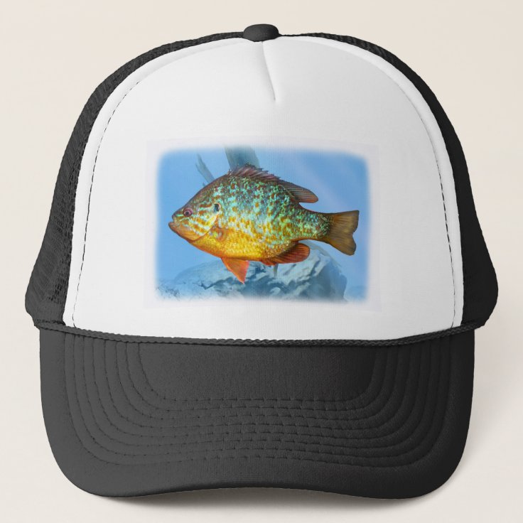 bluegill fish trucker hat | Zazzle