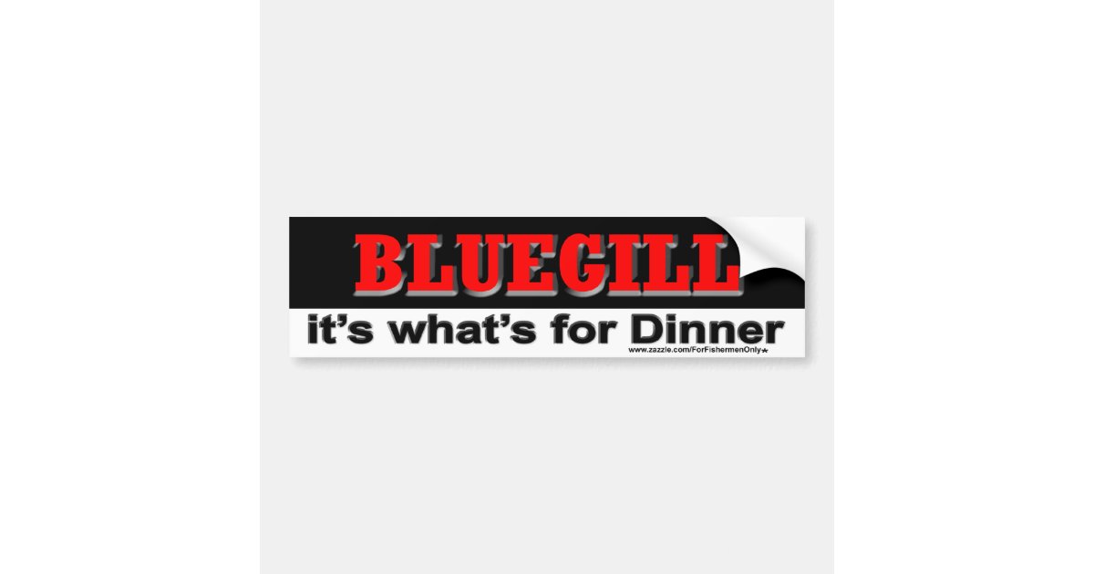 BLUEGILL it's what's for dinner Bumper Sticker | Zazzle