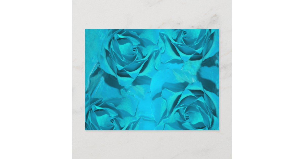 Blues roses postcard | Zazzle