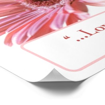 "Blush" Daisy Poster | Zazzle