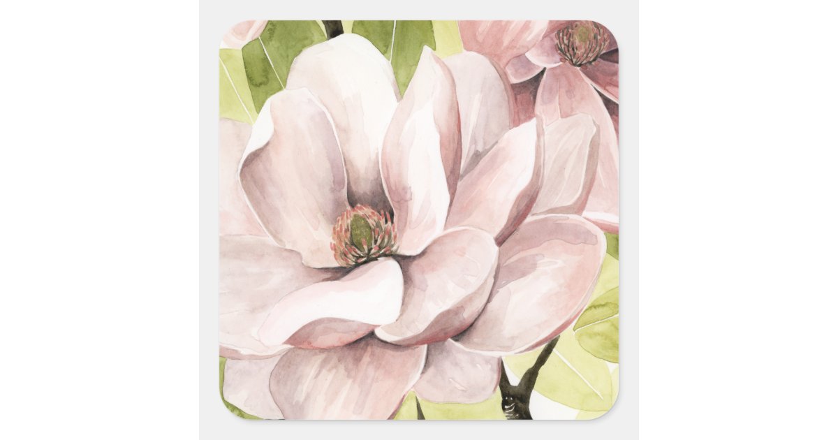 Blush Magnolia Flowers Square Sticker | Zazzle