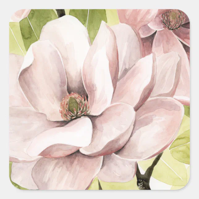 Blush Magnolia Flowers Square Sticker | Zazzle