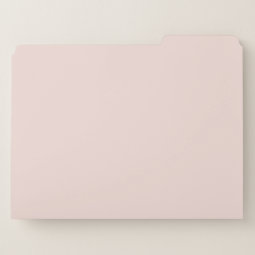 Blush Pink Gold Elegant Hair Stylist Makeup Artist File Folder | Zazzle