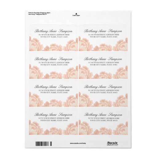Blush Pink Roses Address Labels | Zazzle