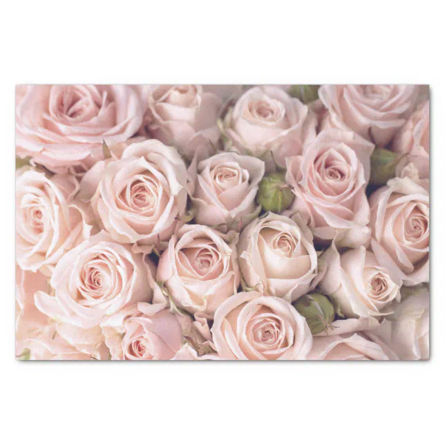 Blush Pink Roses Tissue Paper | Zazzle