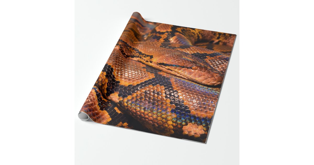 Boa Constrictor Wrapping Paper | Zazzle