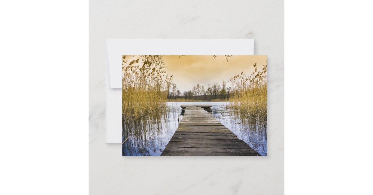 Boardwalk Dock on Ukraine River Thank You Card | Zazzle
