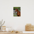 Bob Langrish | Arab Stallion Standing headshot Poster | Zazzle