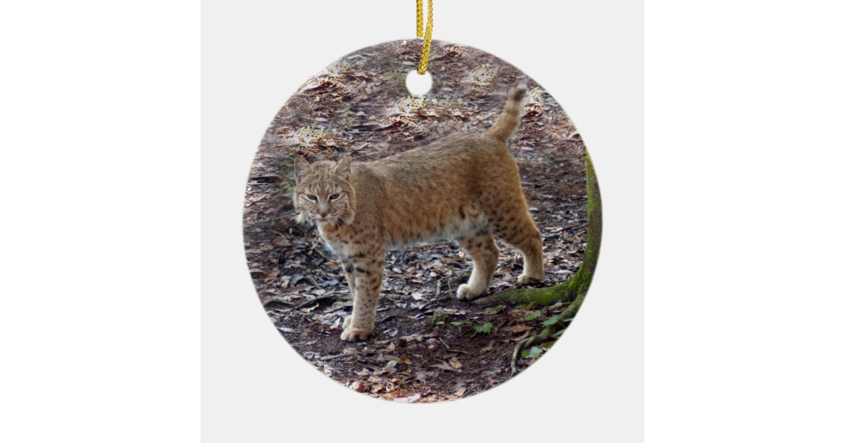 Bobcat Christmas Ornament | Zazzle
