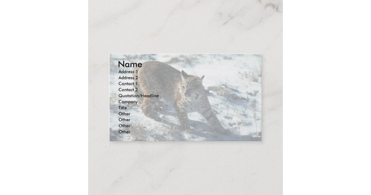Bobcat on snow business card | Zazzle