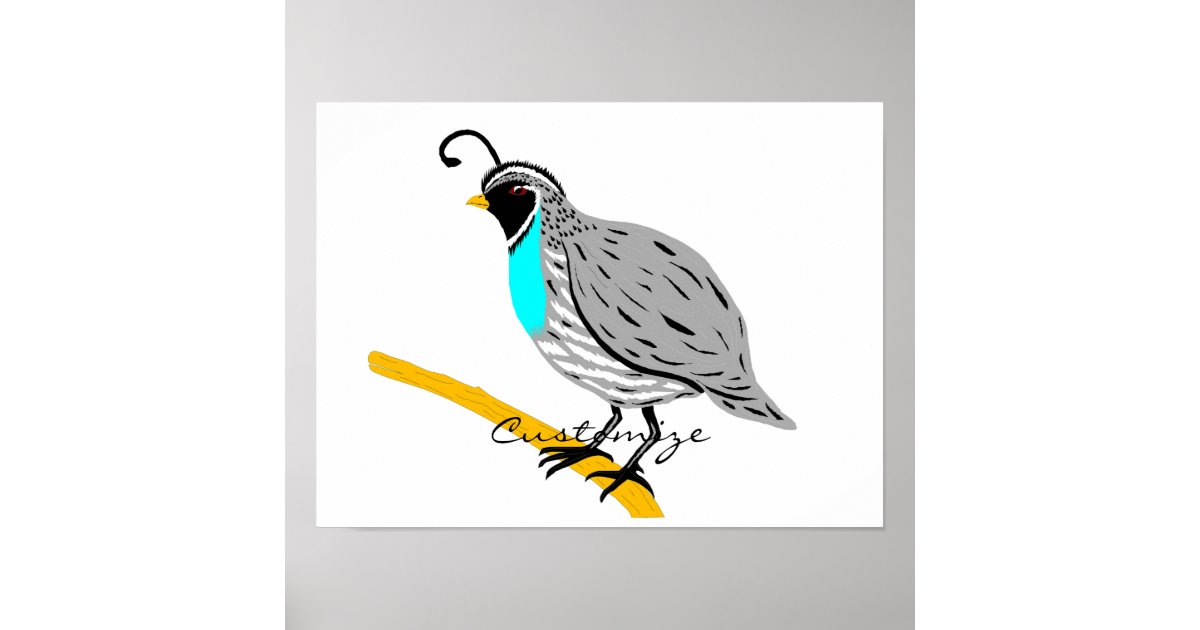 Bobwhite Blue-throated Quail Thunder_Cove Poster | Zazzle