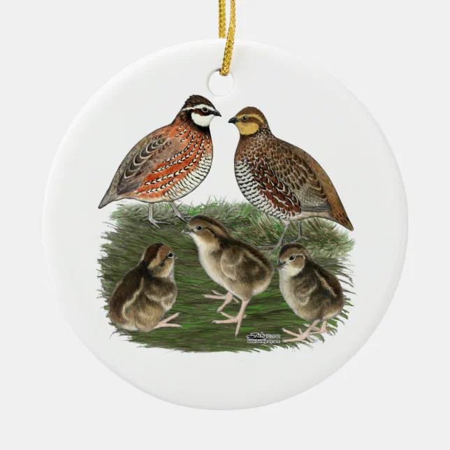 Bobwhite Quail Family Ceramic Ornament | Zazzle