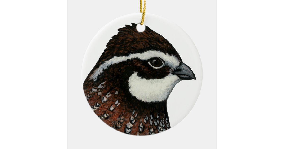 Bobwhite Quail Head Ceramic Ornament | Zazzle