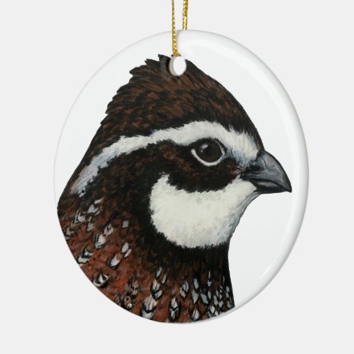 Bobwhite Quail Head Ceramic Ornament | Zazzle