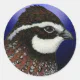 Bobwhite Quail Head Circle Classic Round Sticker | Zazzle
