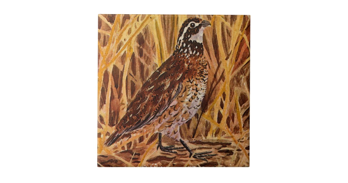 Bobwhite Quail Logo (field) Ceramic Tile | Zazzle