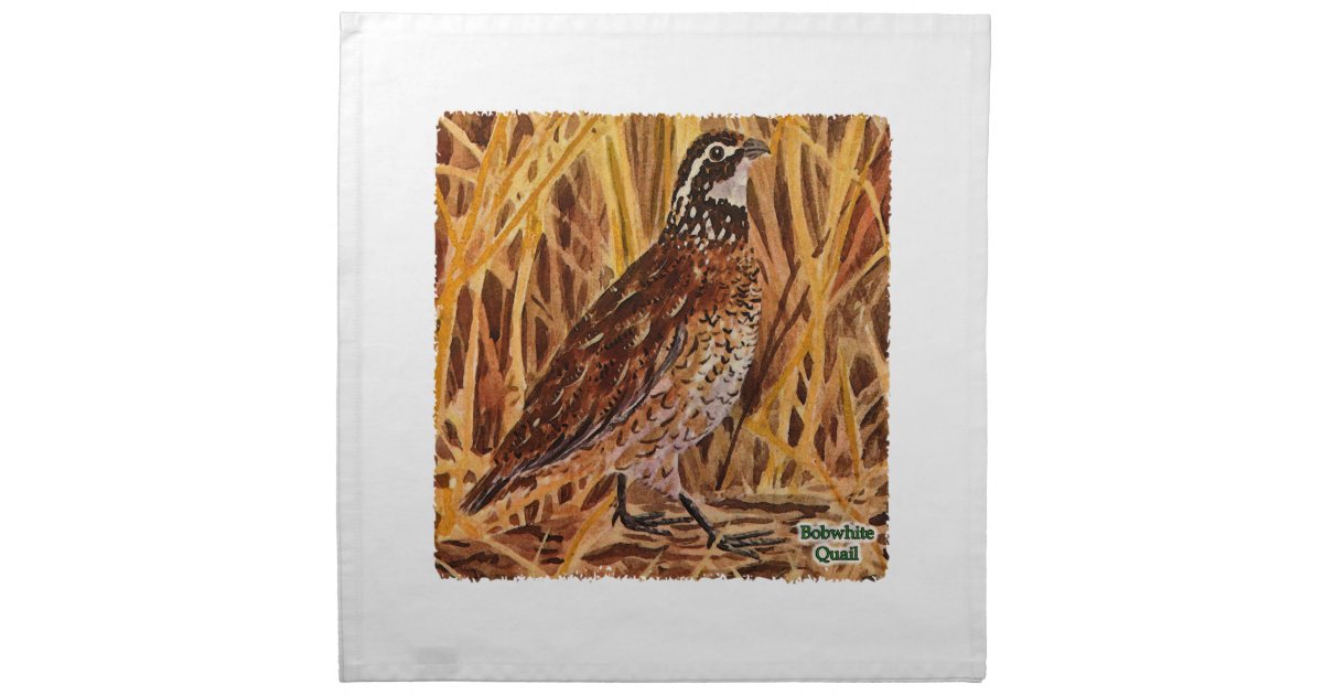 Bobwhite Quail Logo (field) Napkin | Zazzle
