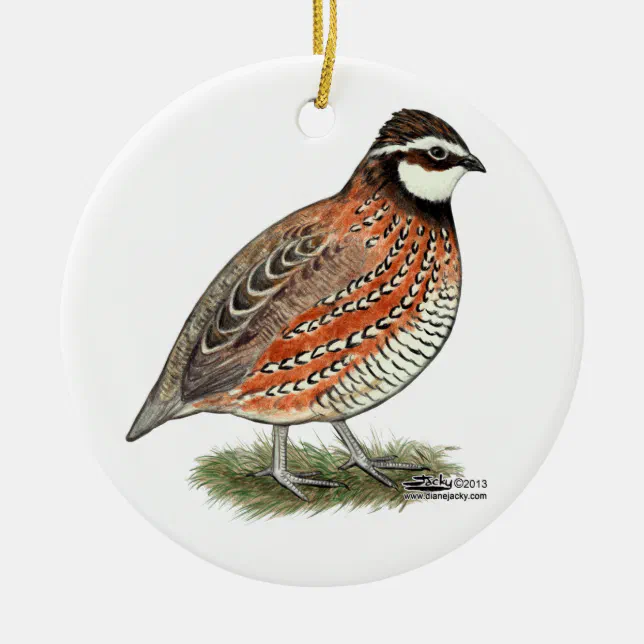 Bobwhite Quail Rooster Ceramic Ornament | Zazzle