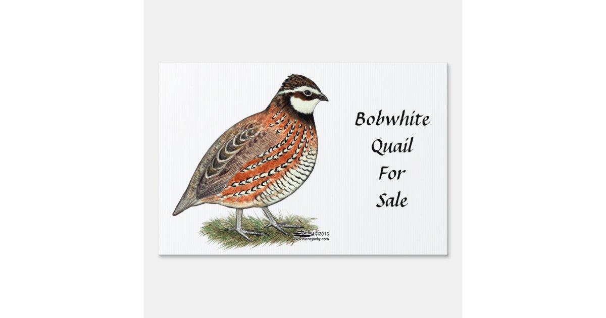 Bobwhite Quail Rooster Yard Sign | Zazzle