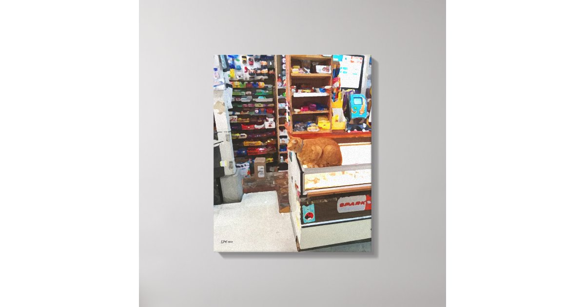 Bodega Cat Canvas Print | Zazzle