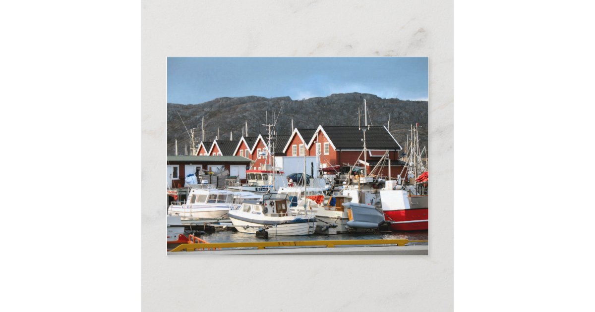 Bodo, harbour postcard | Zazzle