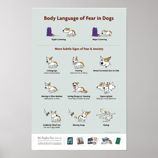 Body Language of Fear in Dogs Poster | Zazzle.com