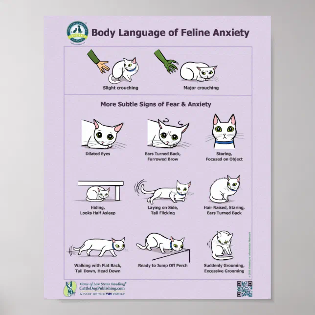 Body Language of Feline Anxiety Poster | Zazzle