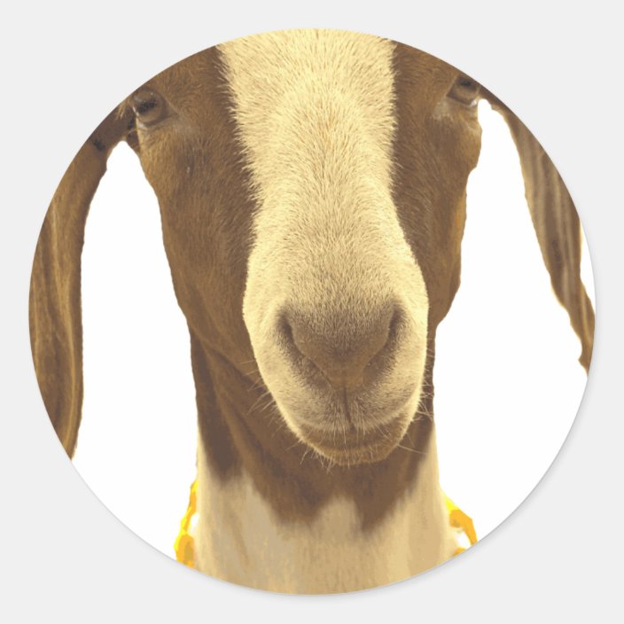 Boer Goat Classic Round Sticker | Zazzle.com