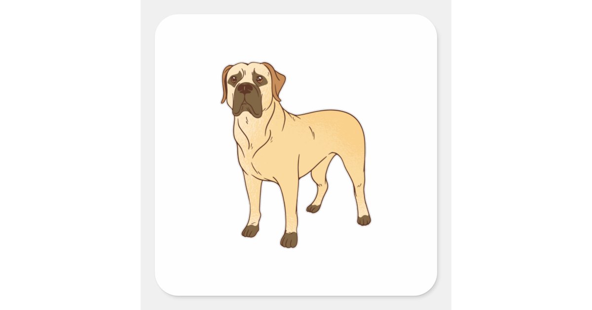 Boerboel dog square sticker | Zazzle