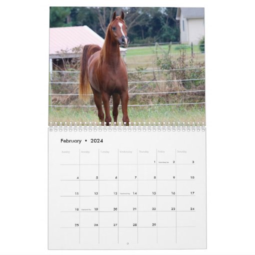 BOGO Colts Calendar 3 year old pics | Zazzle