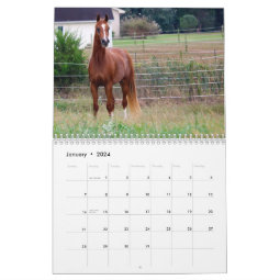 BOGO Colts Calendar 3 year old pics | Zazzle