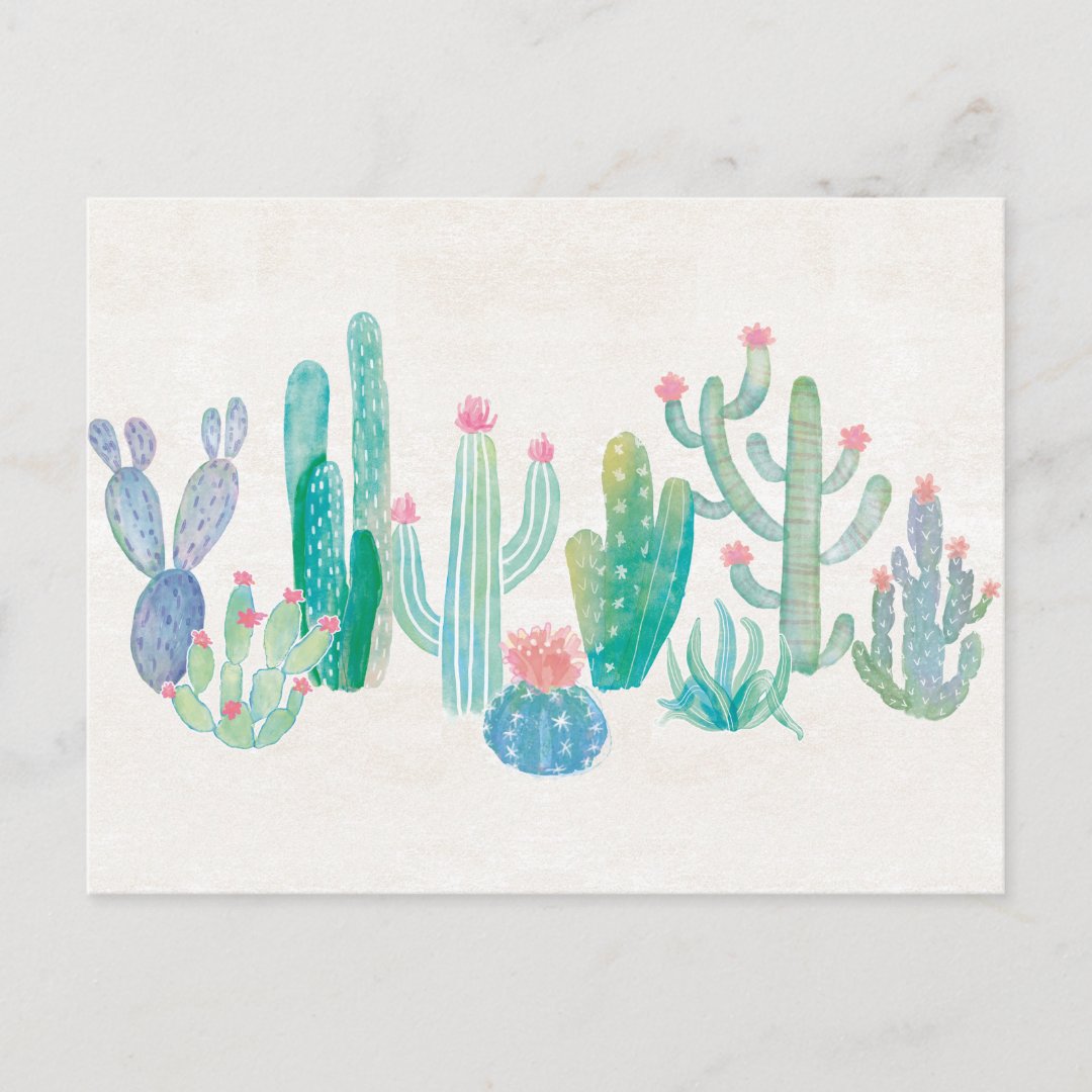 Bohemian Cactus Postcard | Zazzle