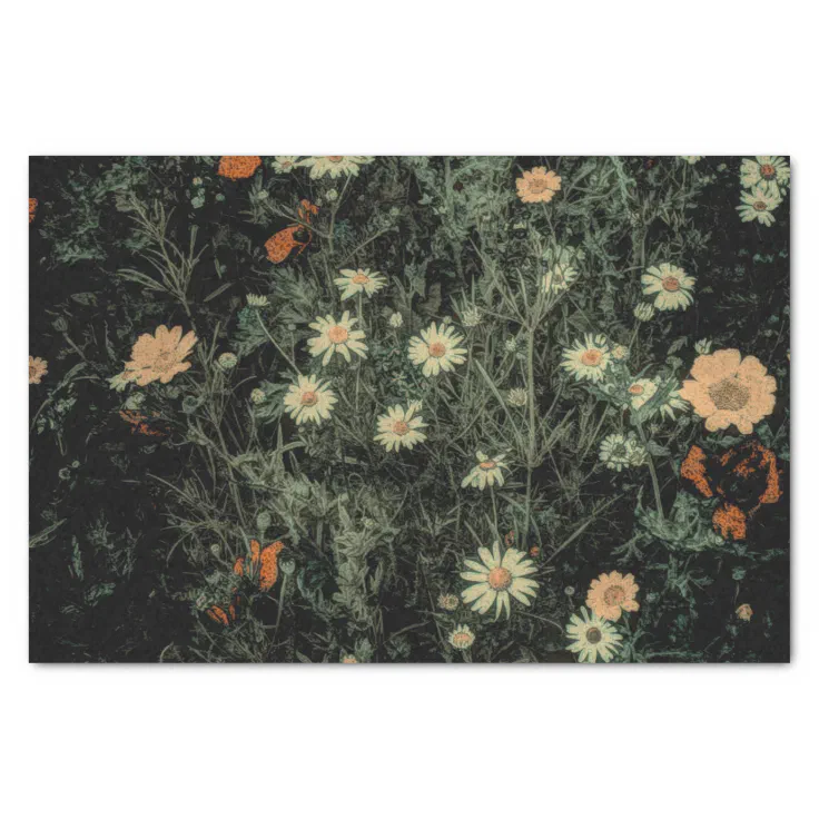 bohemian white daisy wildflower black floral tissue paper | Zazzle